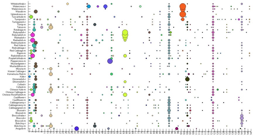 Automated Data Analysis | Botanical DC